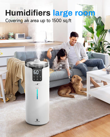 Can You Put Essential Oils in a Humidifier? Safety Tips and Best Pract ...